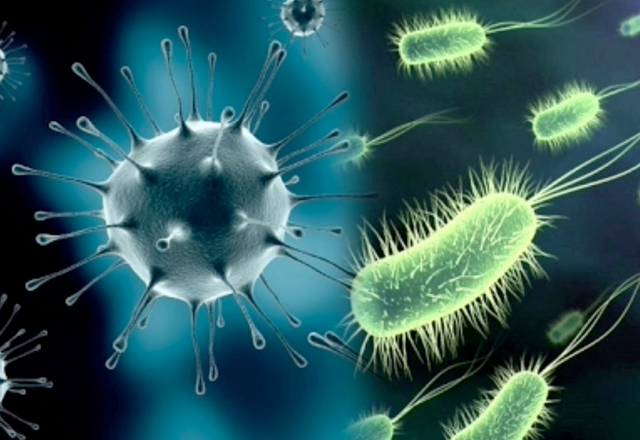 Hospitales en Tamaulipas son “focos de infecciones” para pacientes